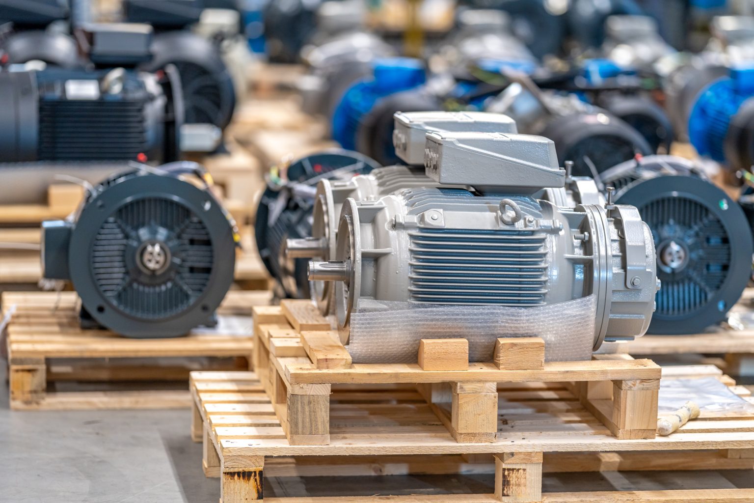 Medium Voltage Motors