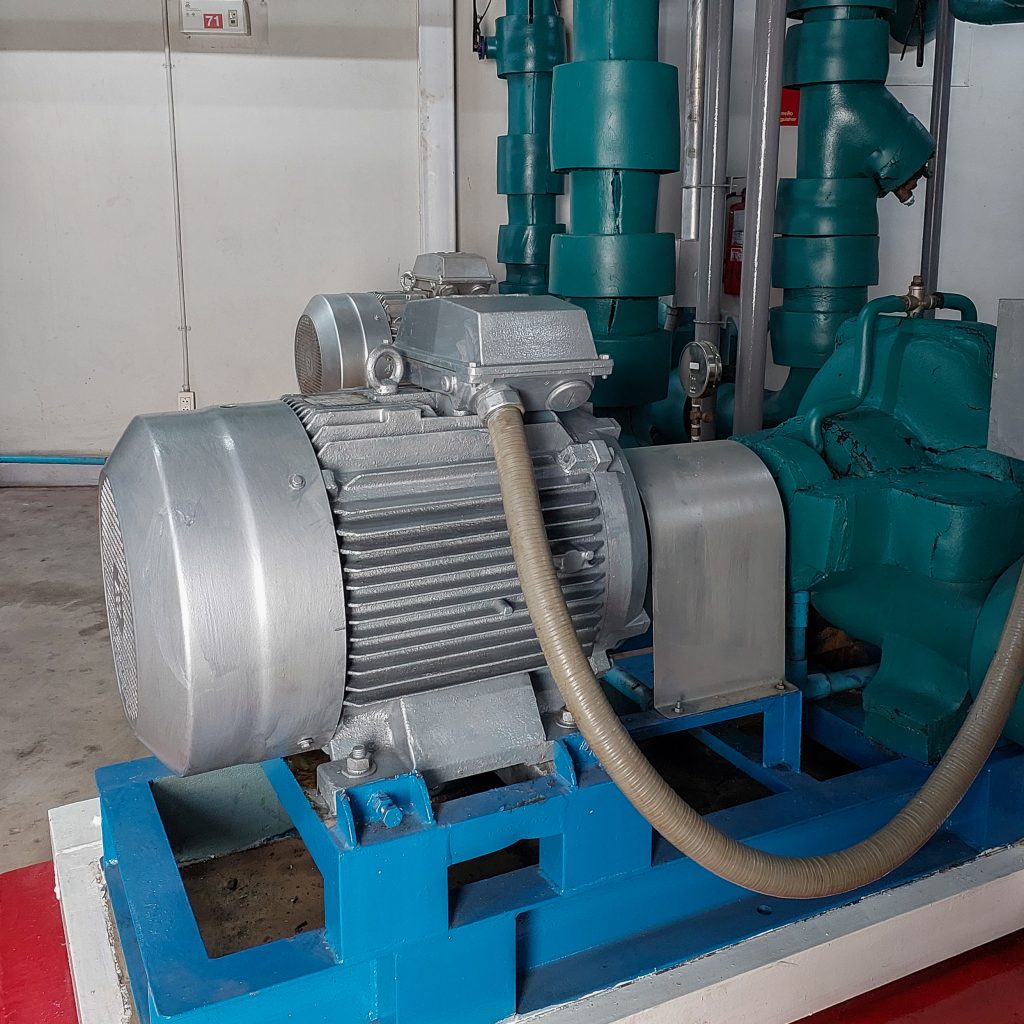 Medium Voltage Motors